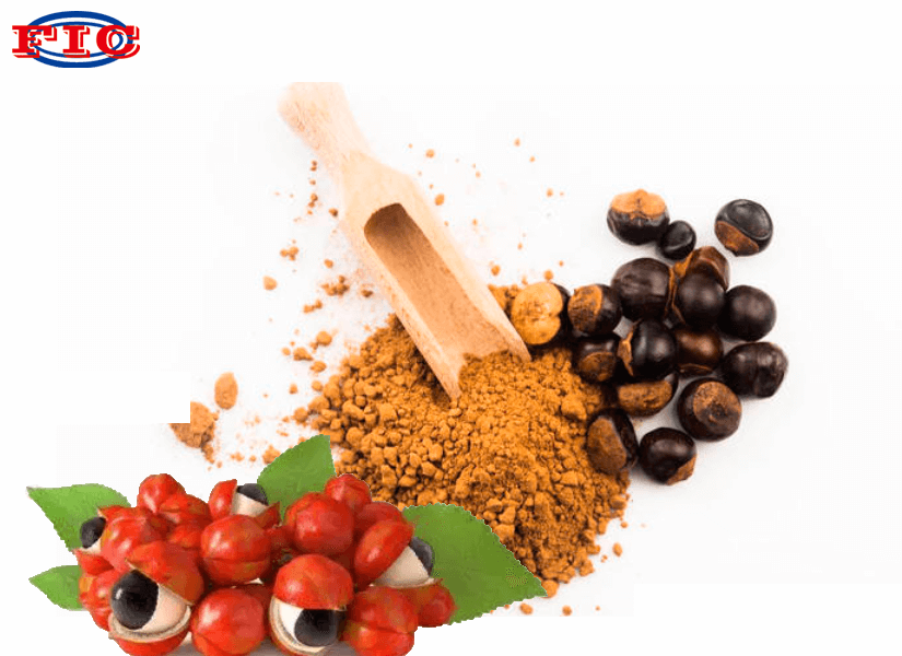 Brazil’s “God Fruit” – Guarana - Welcome to FIC