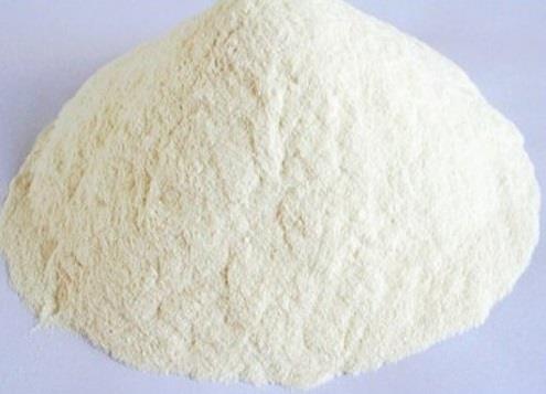 Agar Agar Powder: Uses, Benefits & Nutrient Agar Distinction