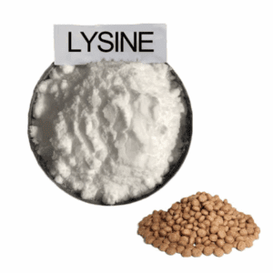 Lysine in Animal Feed: A Key Nutrient for Optimal Growth